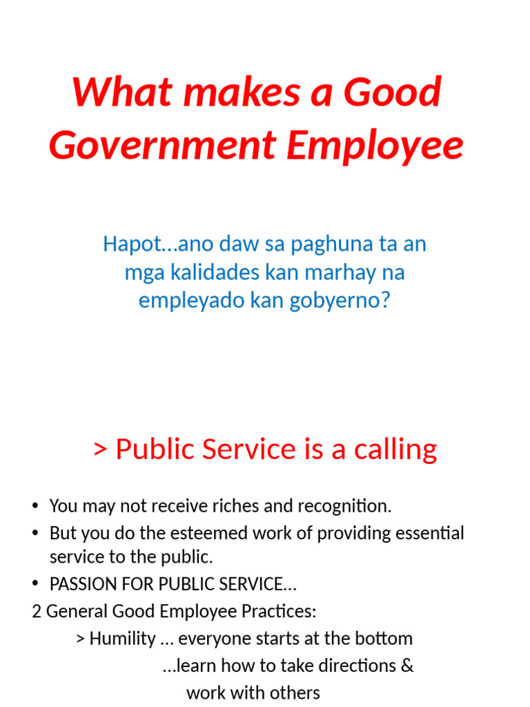 What Makes A Good Government Employee | PDF