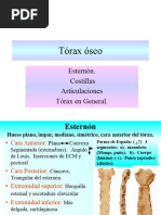 Anatomía de la Región Esternal | PDF | Tórax | Sistema esquelético