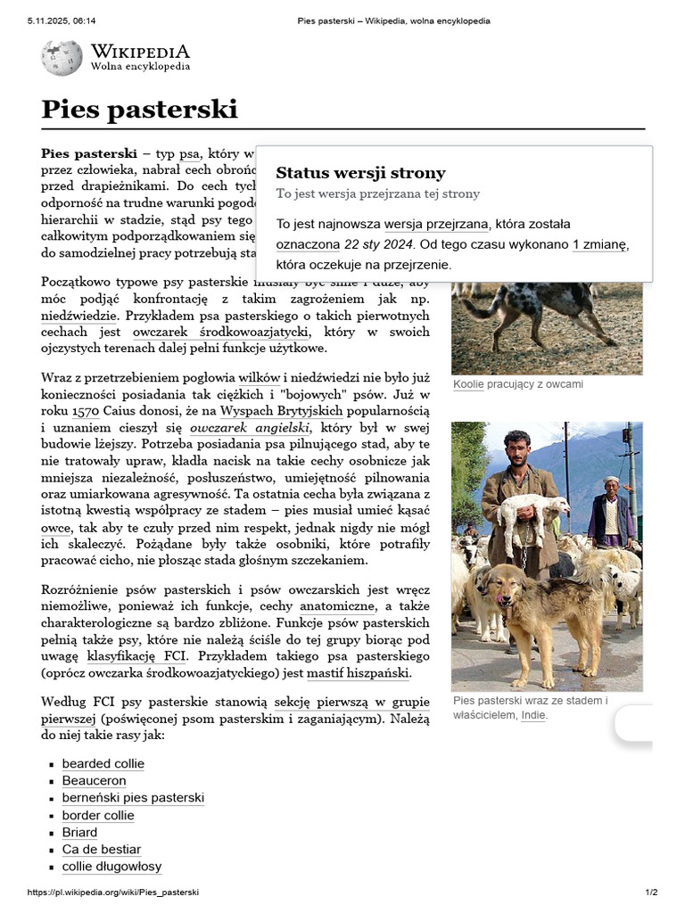 Pies Pasterski - Wikipedia, Wolna Encyklopedia | PDF