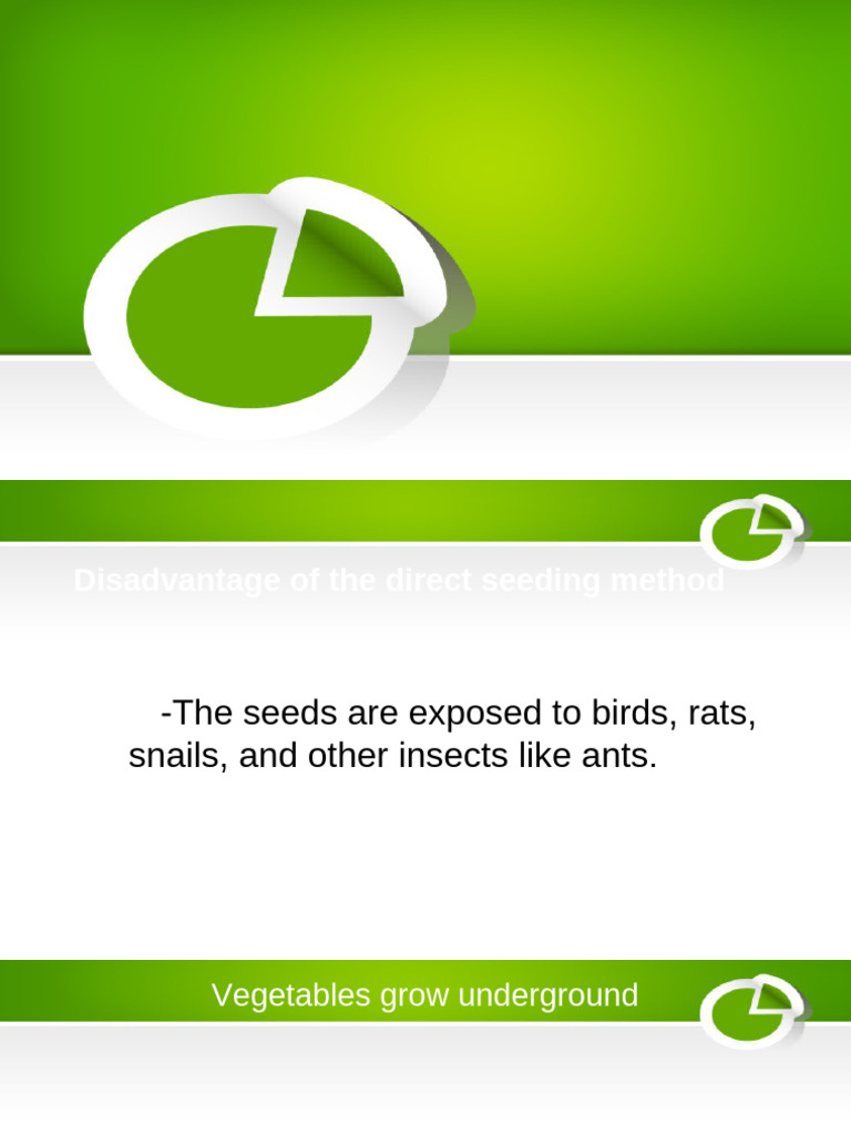 TLE 9 drill 4 | PDF | Seed | Sowing
