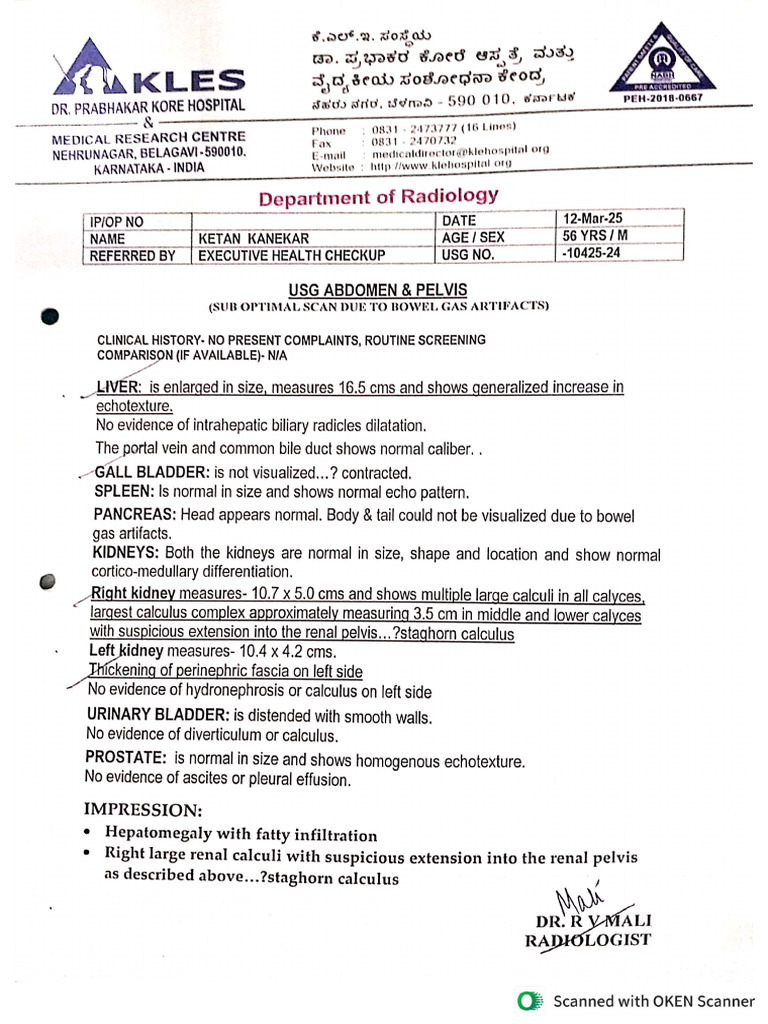 Usg Report | PDF