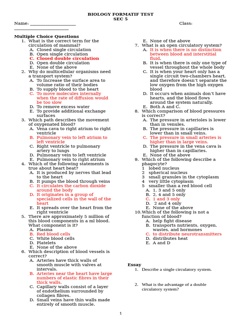 Mammalian Circulatory System Test | PDF | Circulatory System | Heart