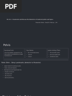 Female Pelvis Diameters Explained | PDF