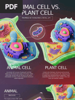 Cell Organelles as House Components | PDF | Science & Mathematics