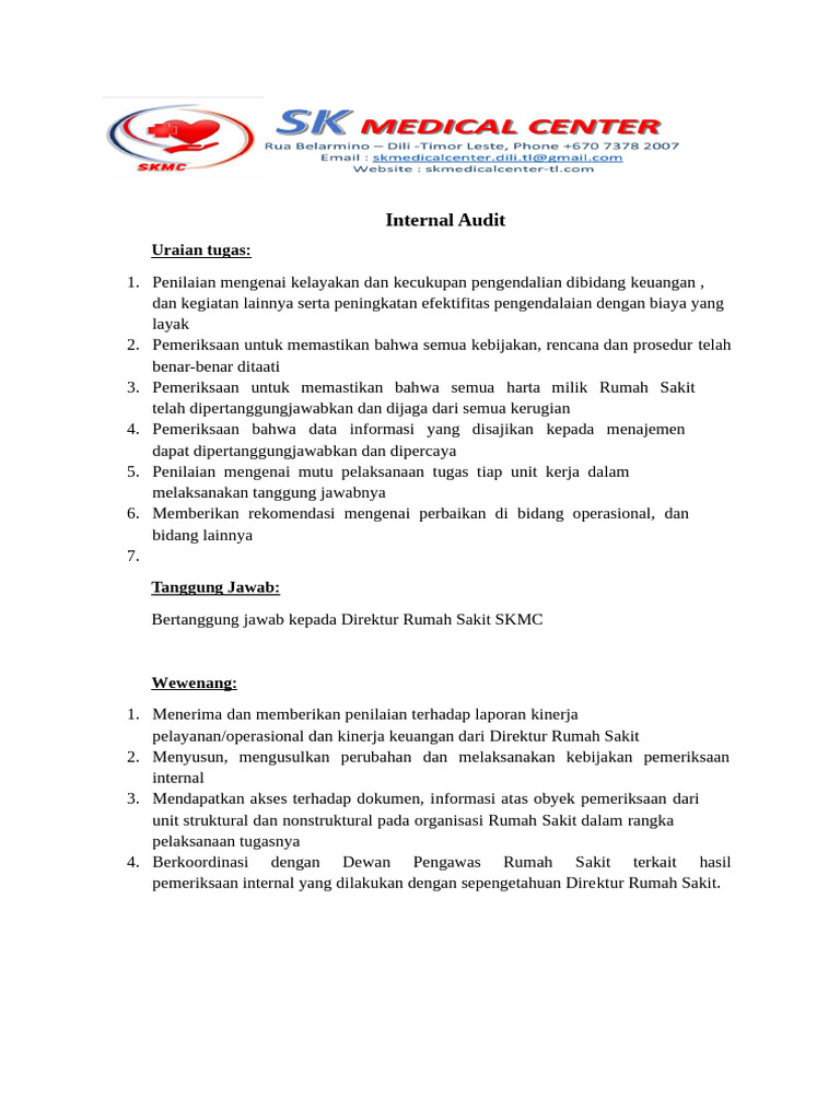 Internal Audit | PDF