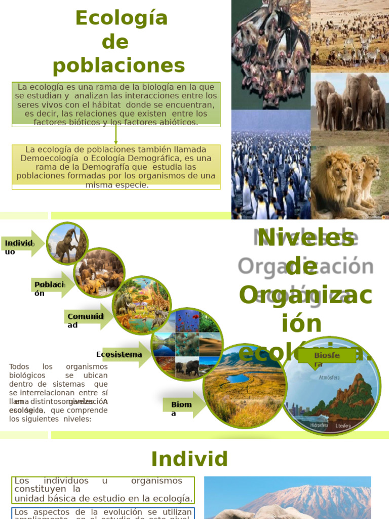 Ecología de Poblaciones | PDF | Ecología | Biología