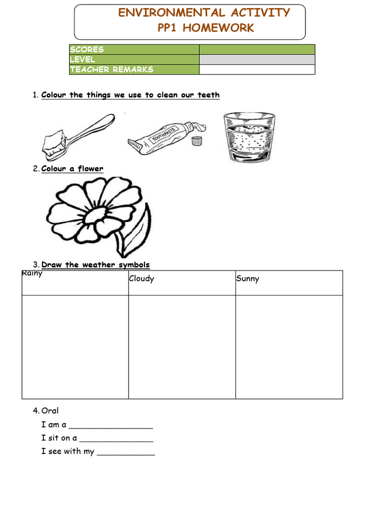Pp1 Environmental Homework | PDF