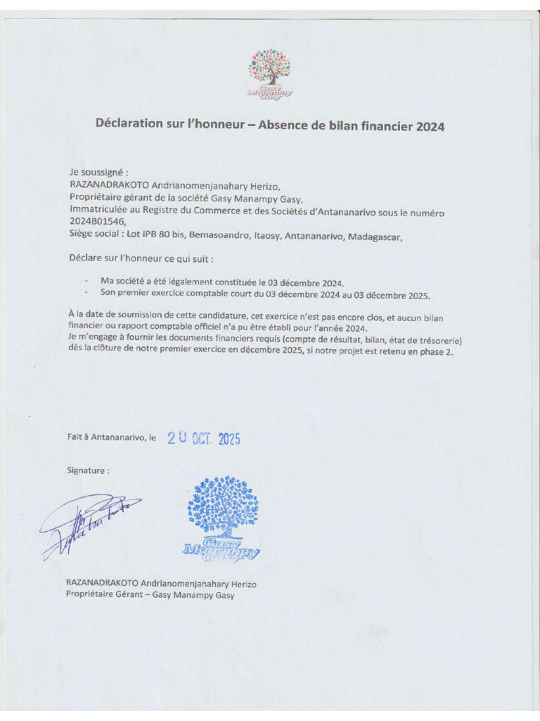 D É Claration Bil An 2024 | PDF