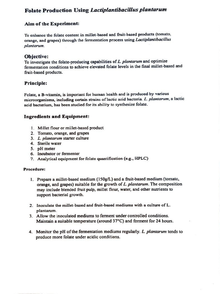 Exp Folate Production | PDF | Fermentation | Bacteria