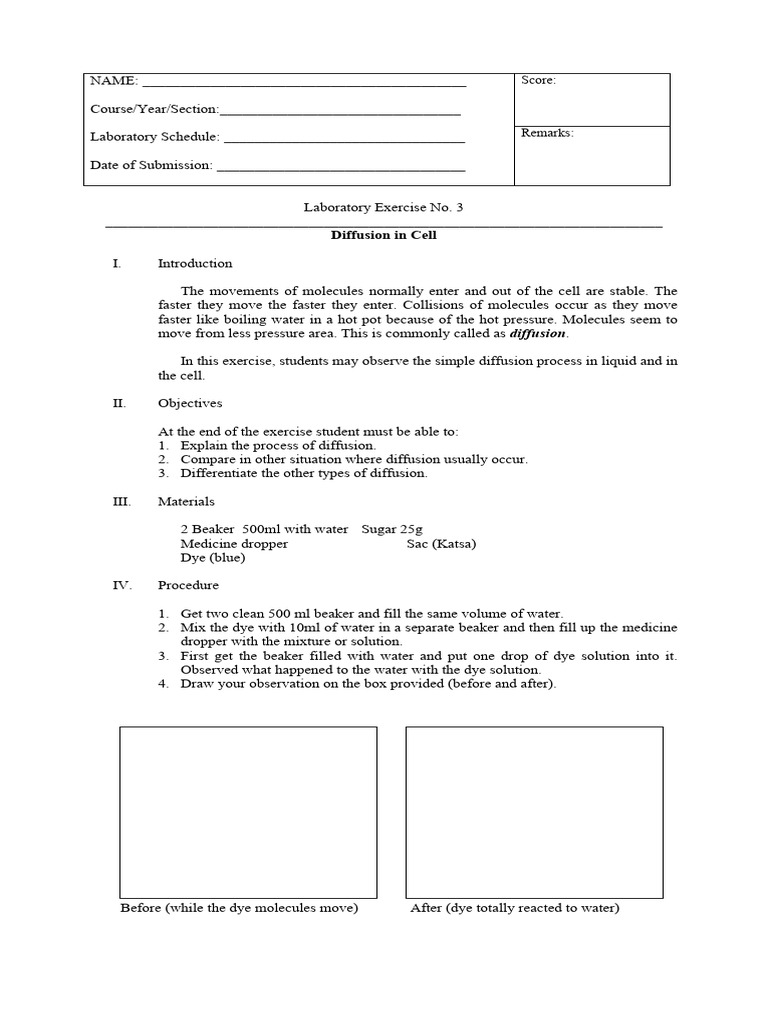 Lab Exercise #3 Diffusion in Cell | PDF | Water | Diffusion