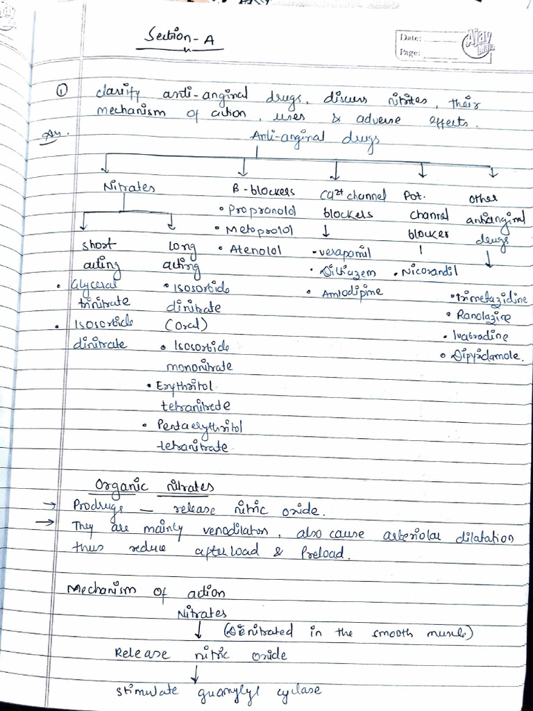 Pharma Test | PDF