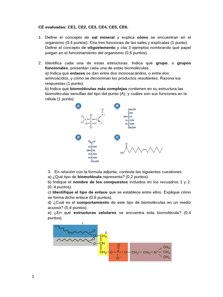 Bio Quim | PDF