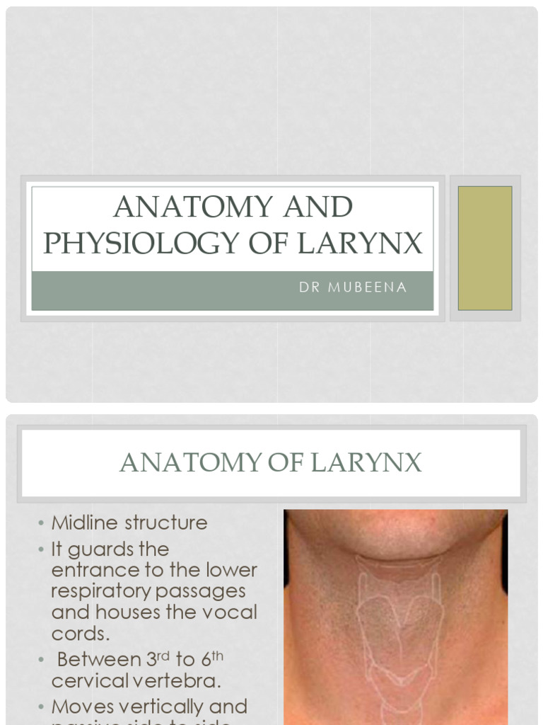 Anatomy And Physiology Of Larynx Pdf Larynx Human Head And Neck