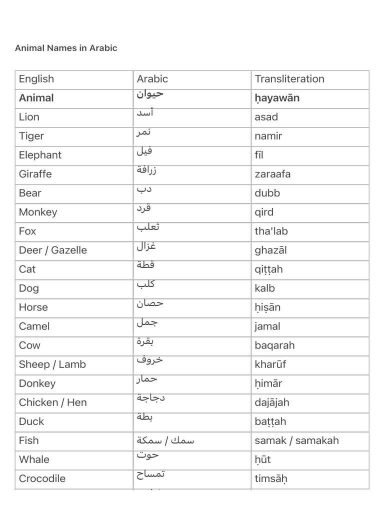 Animal Names in Arabic | PDF