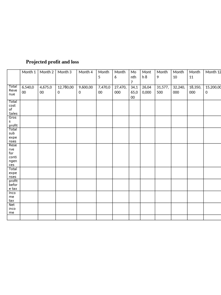 Projected Profit and Loss | PDF