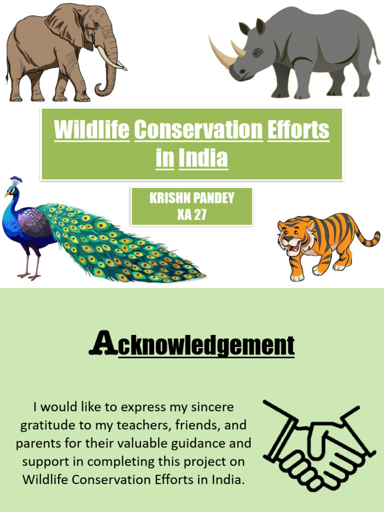 Wildlife Conservation Detailed Project 2 | PDF | Conservation Biology | Biodiversity