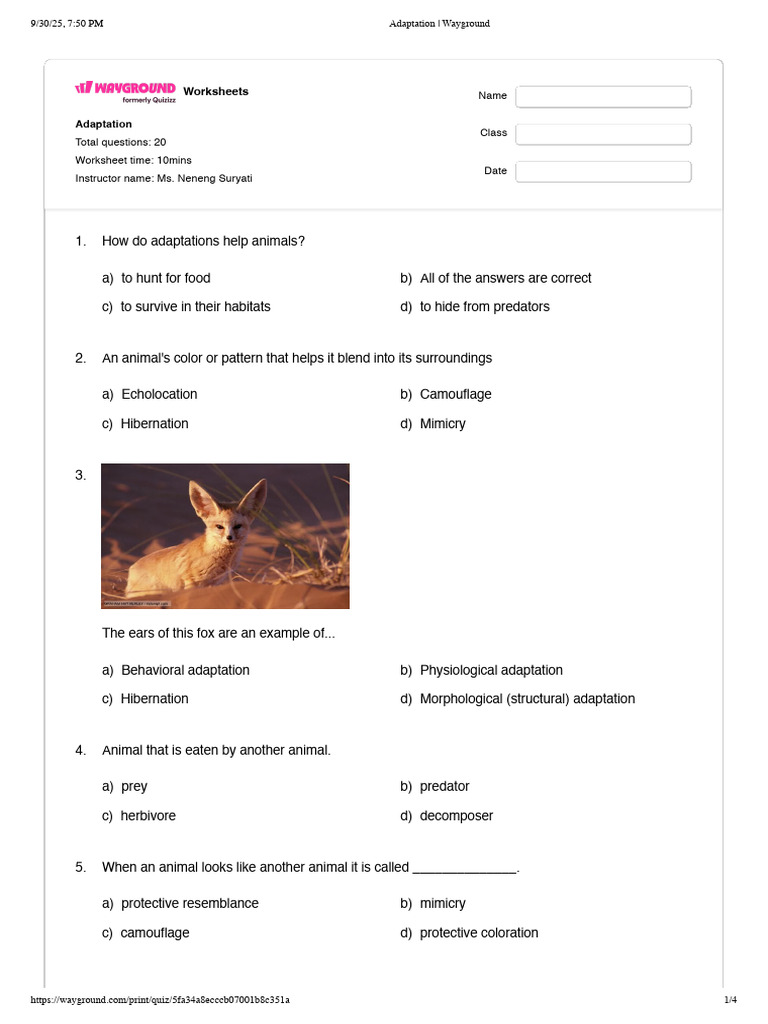Adaptation | PDF | Adaptation | Camouflage