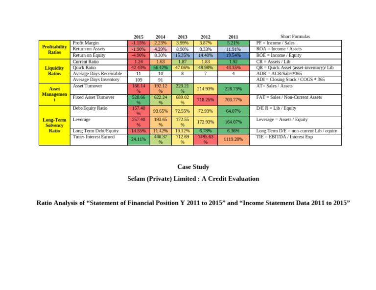 Sefam Case Study Ratio Analysis-1 | PDF | Equity (Finance) | Leverage ...