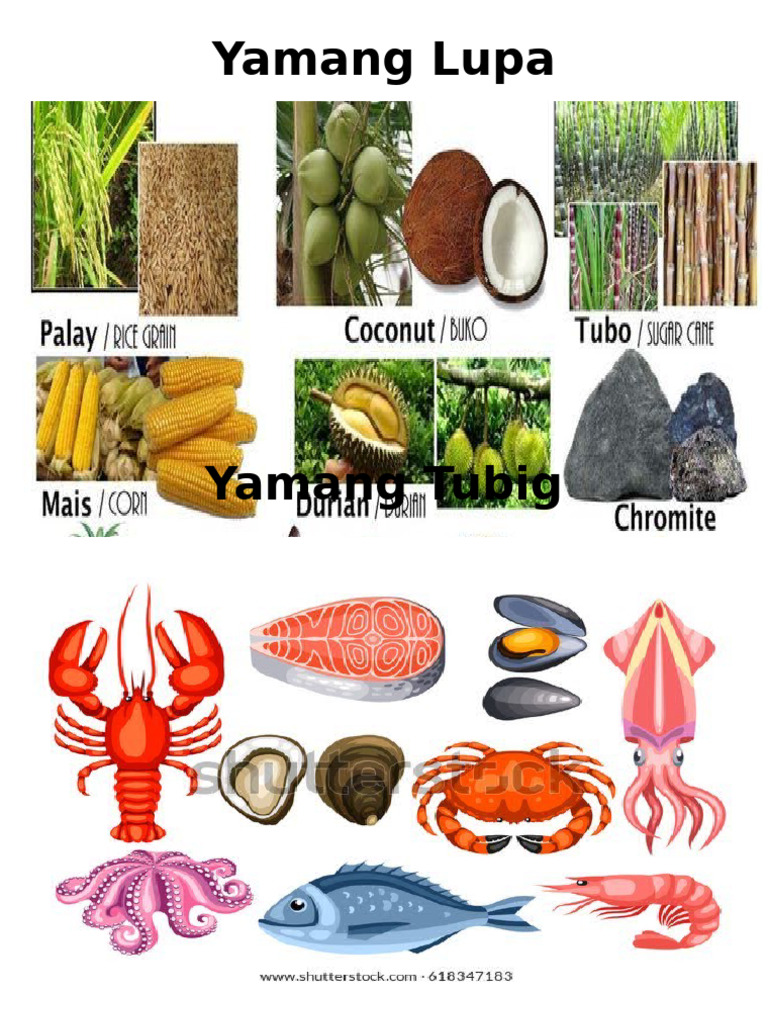 Yamang Lupa at Yamang Tubig | PDF