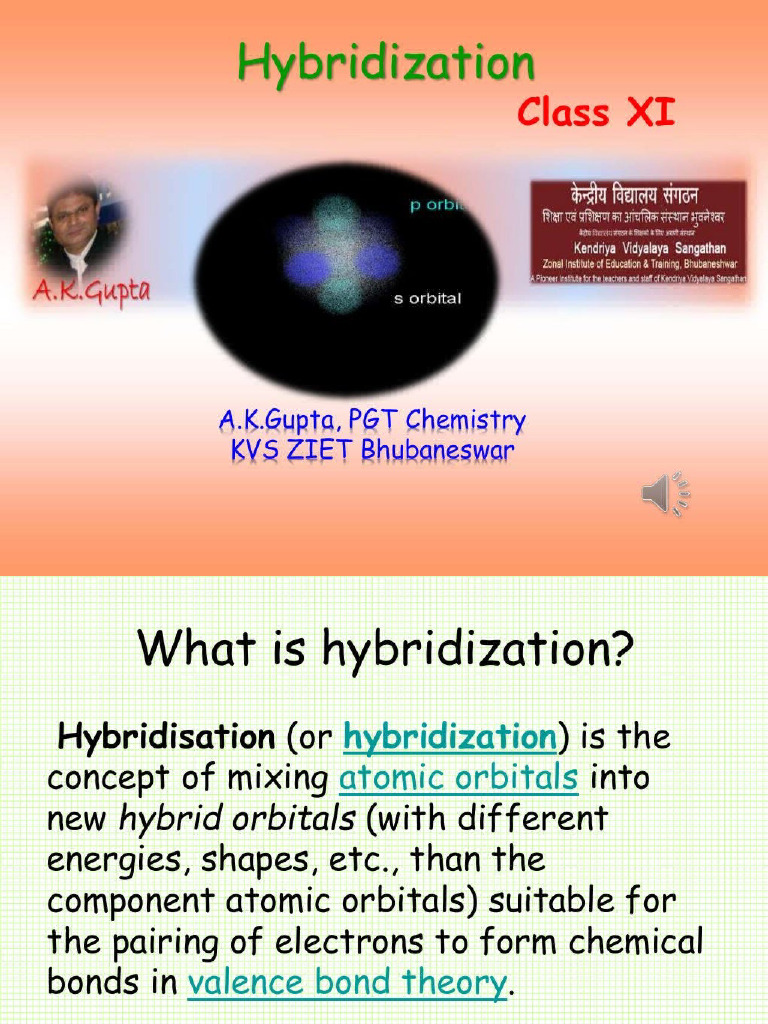 Hybridization | PDF
