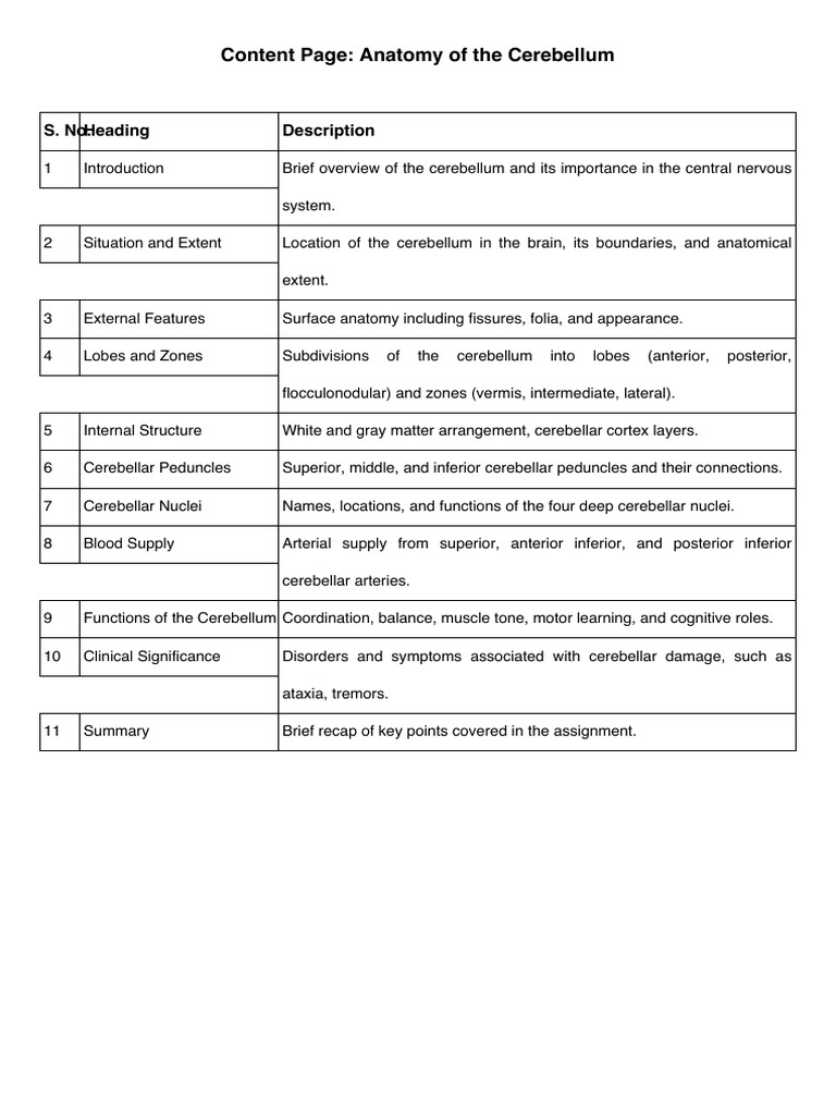 Cerebellum Anatomy Assignment | PDF