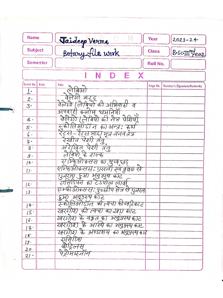 BSC 3rd Year Zoology Practical File Work PDF | PDF