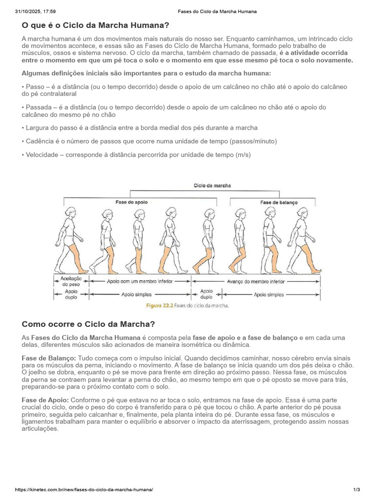 Fases Do Ciclo Da Marcha Humana | PDF | Pé | Tempo