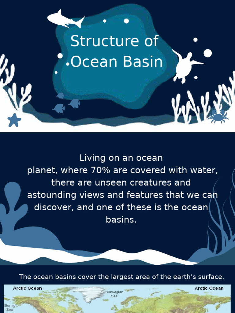 Ocean Basin Structure and Evolution | PDF | Plate Tectonics | Seabed
