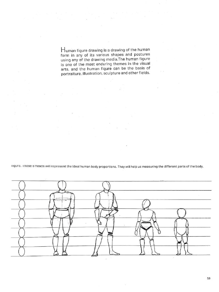 Human Figure | PDF
