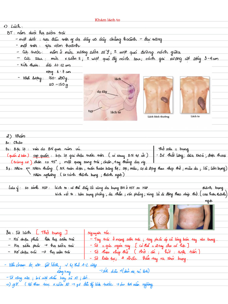 Khám Lách To: Hướng Dẫn Chi Tiết | PDF