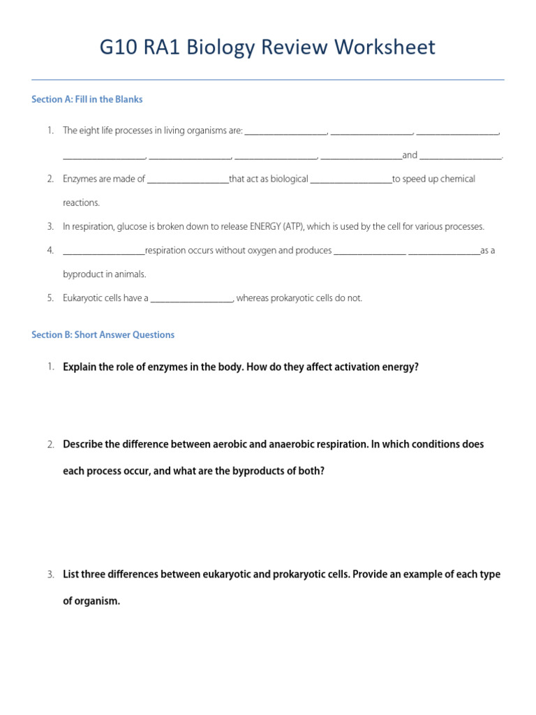 G10 Biology Review: Enzymes & Respiration | PDF | Cellular Respiration ...