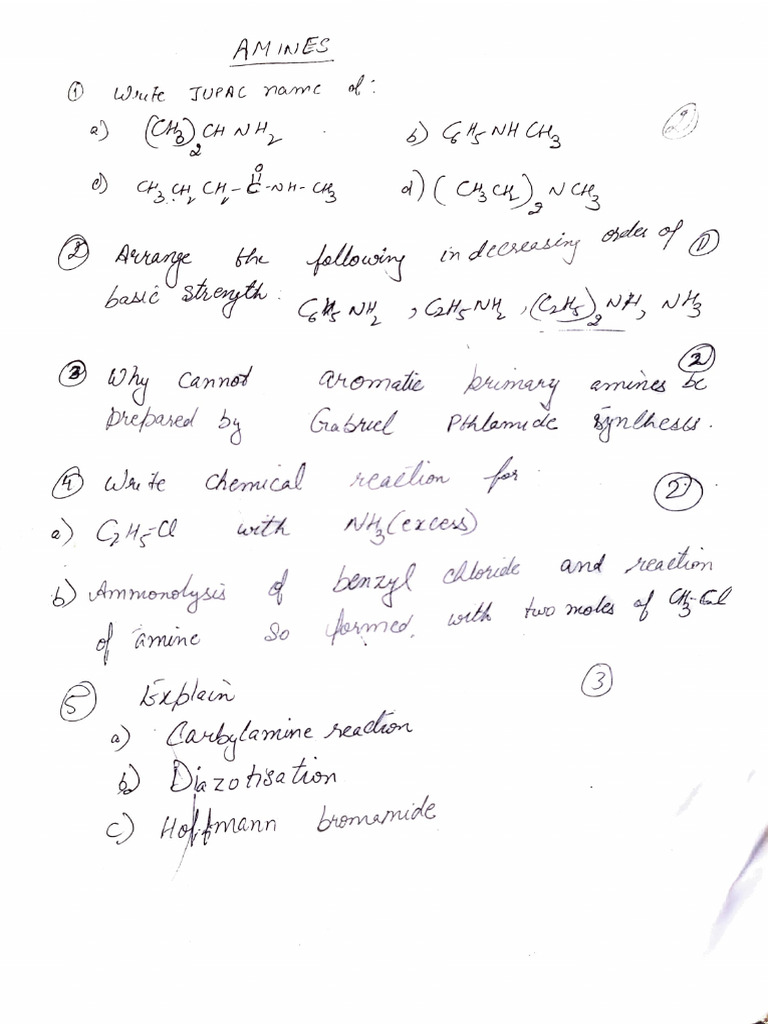 Amines Test | PDF