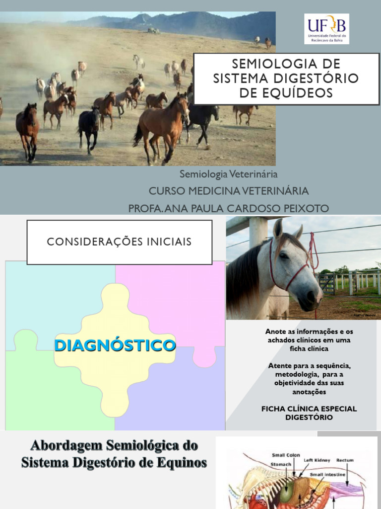 Semiologia do Sistema Digestório Equino | PDF | Esôfago | Boca