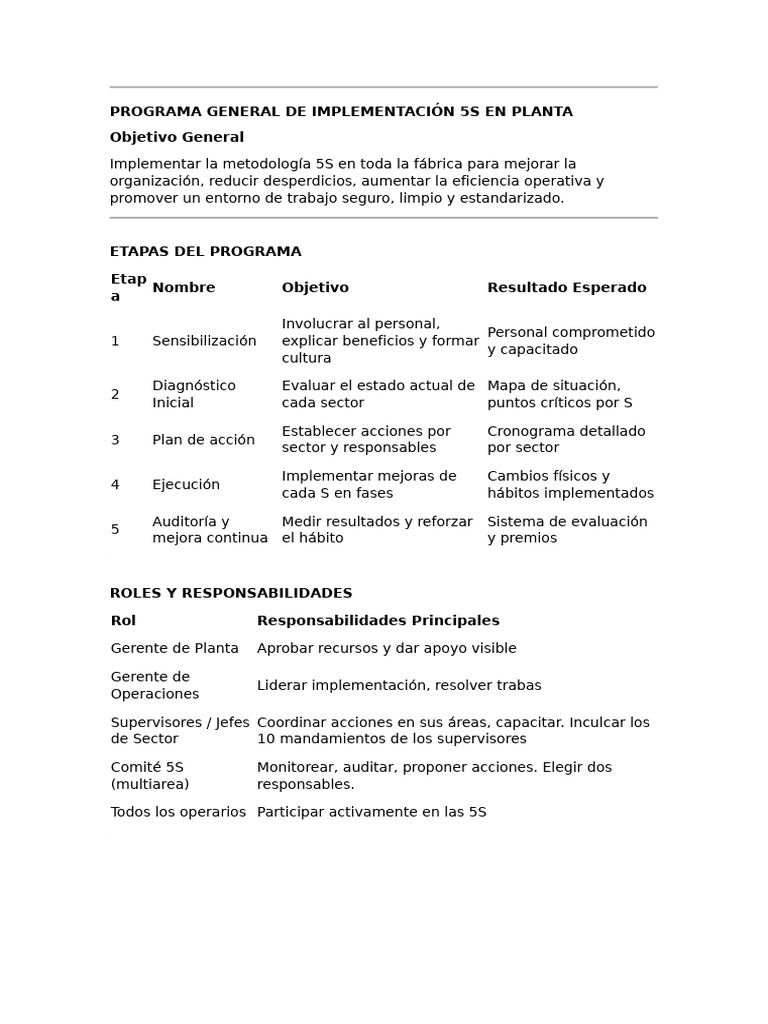 Implementación 5S en Planta: Guía Completa | PDF