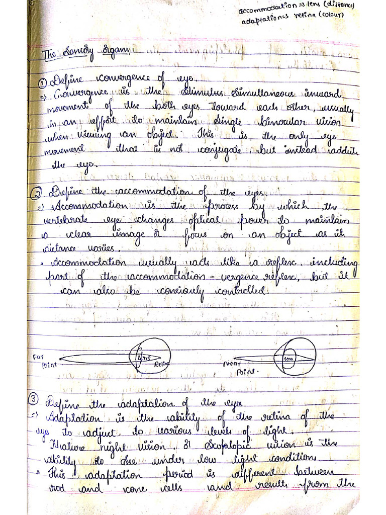 Physiology 2 Marks (Question Bank) - 2 | PDF