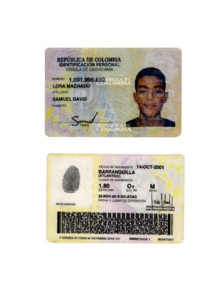 Cedula | PDF
