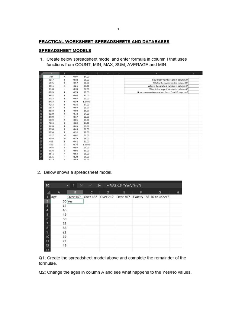 Spreadsheet and Database Practical Guide | PDF | Spreadsheet ...