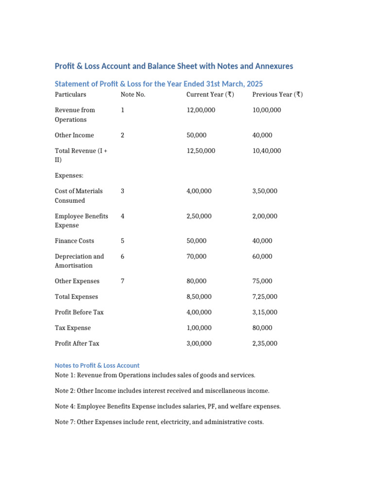 Profit & Loss and Balance Sheet 2025 | PDF | Expense | Balance Sheet