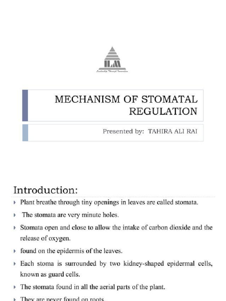 Openng and Closing of Stomata | PDF