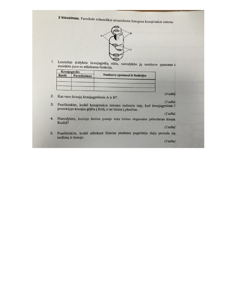 Namu Darbas 12 | PDF