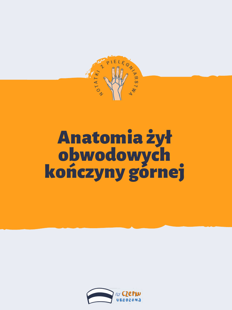 Notatki Z Piel gniarstwa Anatomia y Obwodowych Ko czyny G rnej