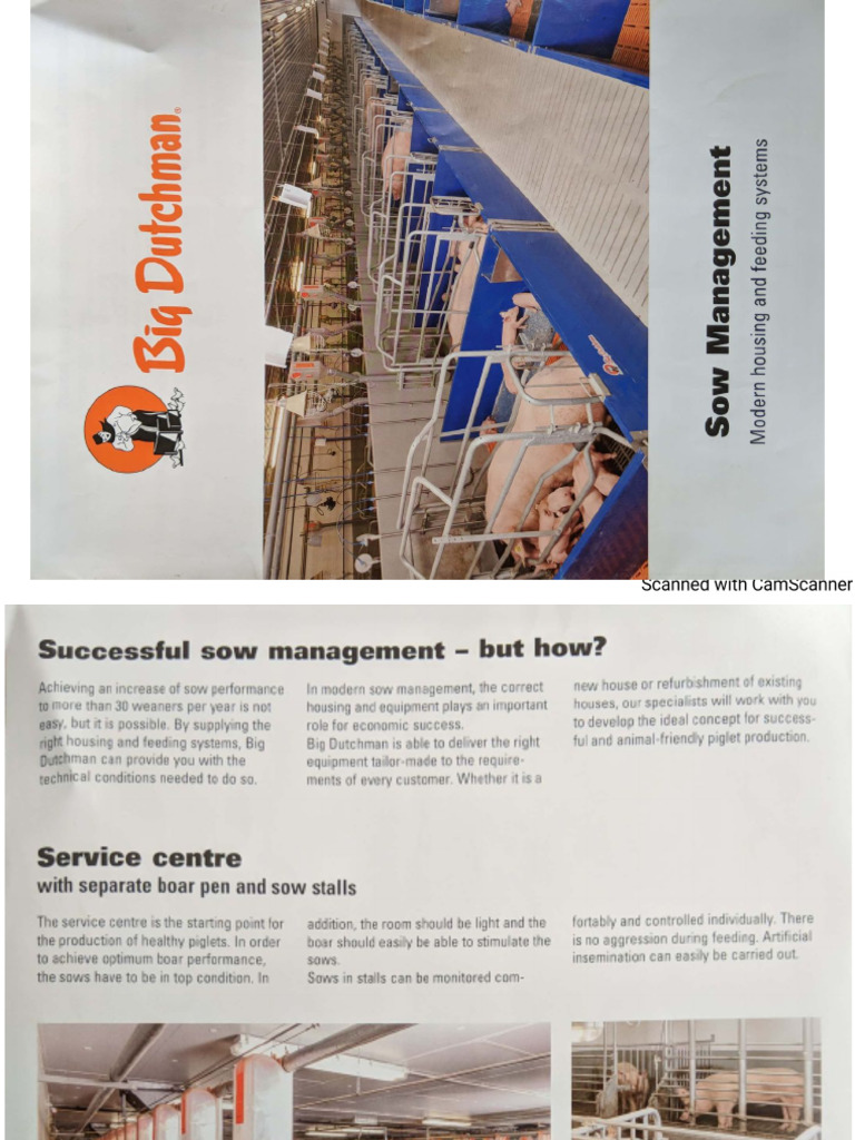 Pig Production | PDF