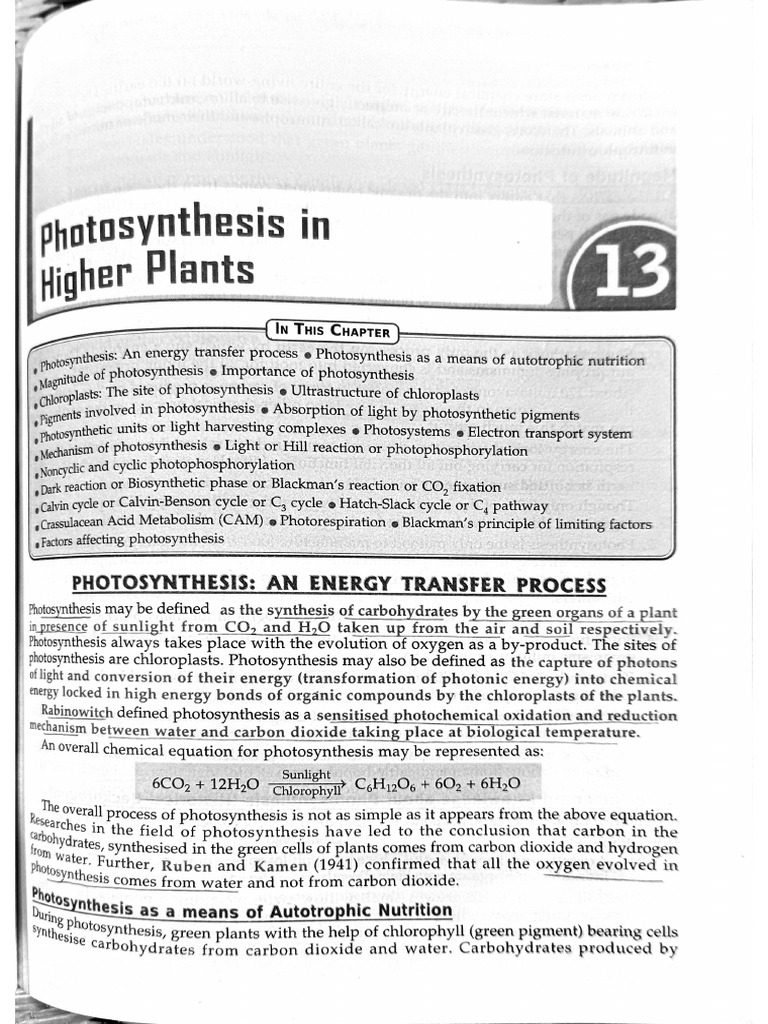 Photosynthesis in Higher Plants | PDF