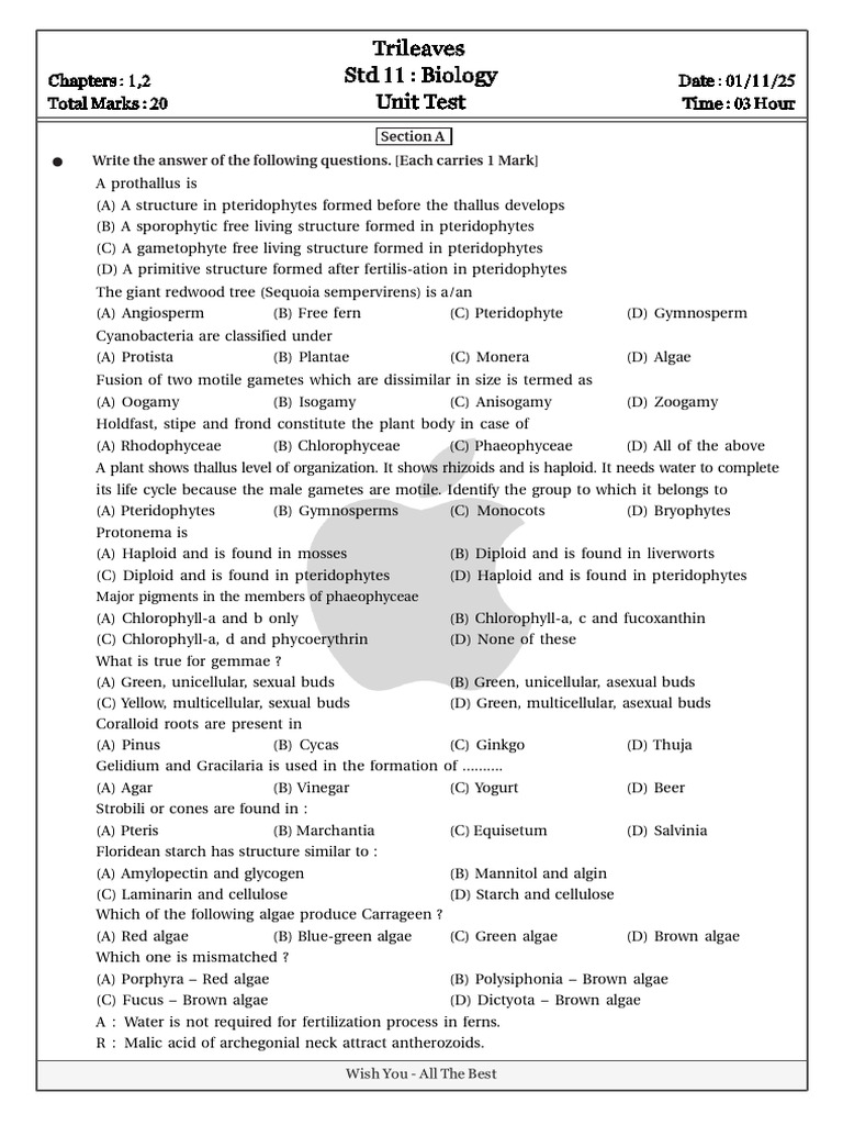 Biology Unit Test for Std 11 | PDF | Plants | Botany