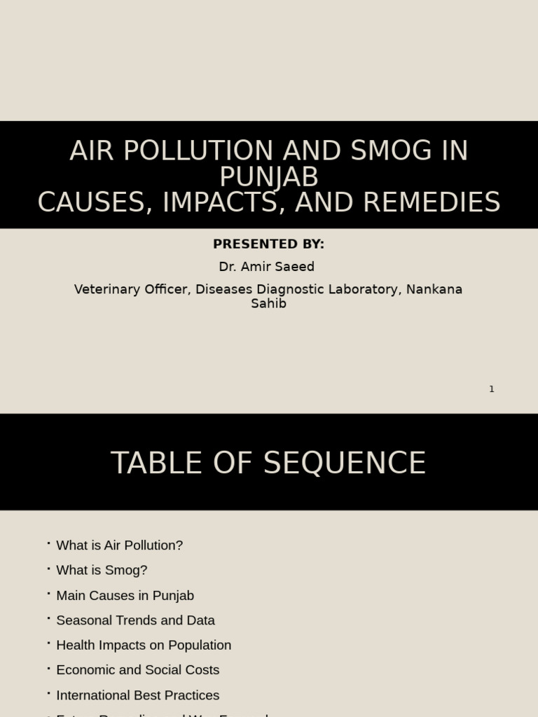Punjab Air Pollution: Causes & Solutions | PDF | Air Pollution | Smog
