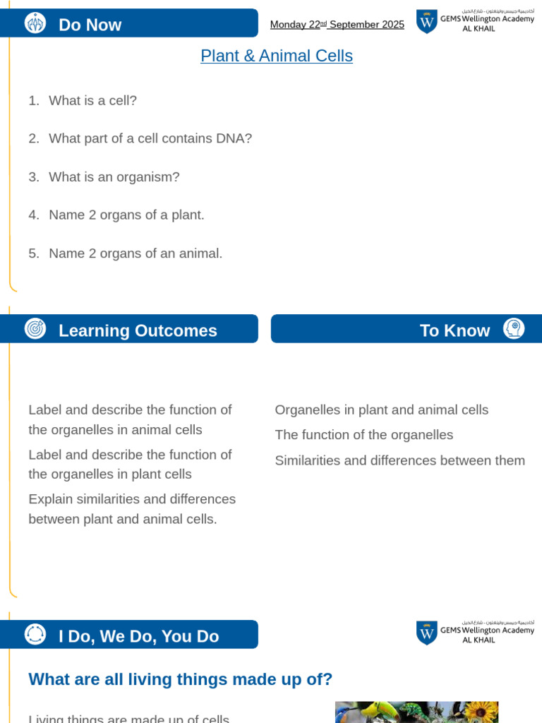 Lesson 1 - Plant and Animal Cells | PDF | Cell (Biology) | Chloroplast