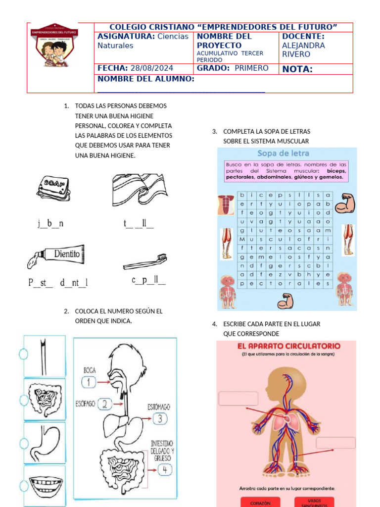 Naturales Primero Tercer Periodo | PDF