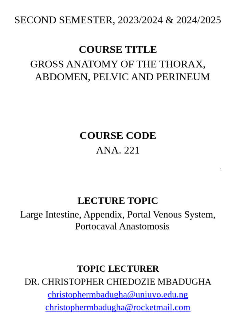 Large Intestine, Appendix, Portal Venous System, Portocaval Anastomosis ...