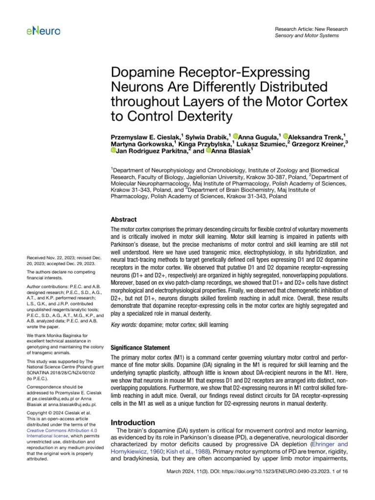 Dopamine Receptor-Expressing Neurons Are Differently Distributed ...