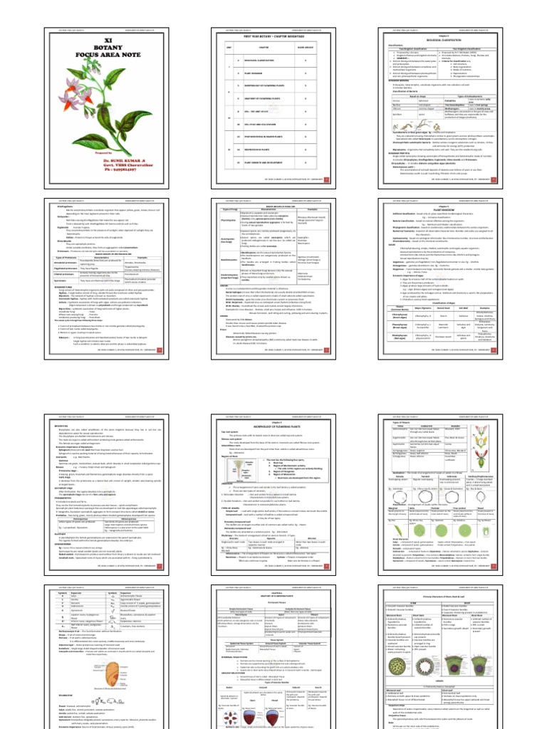 First Year Botany Chapter Weightage Guide | PDF | Flowers | Leaf